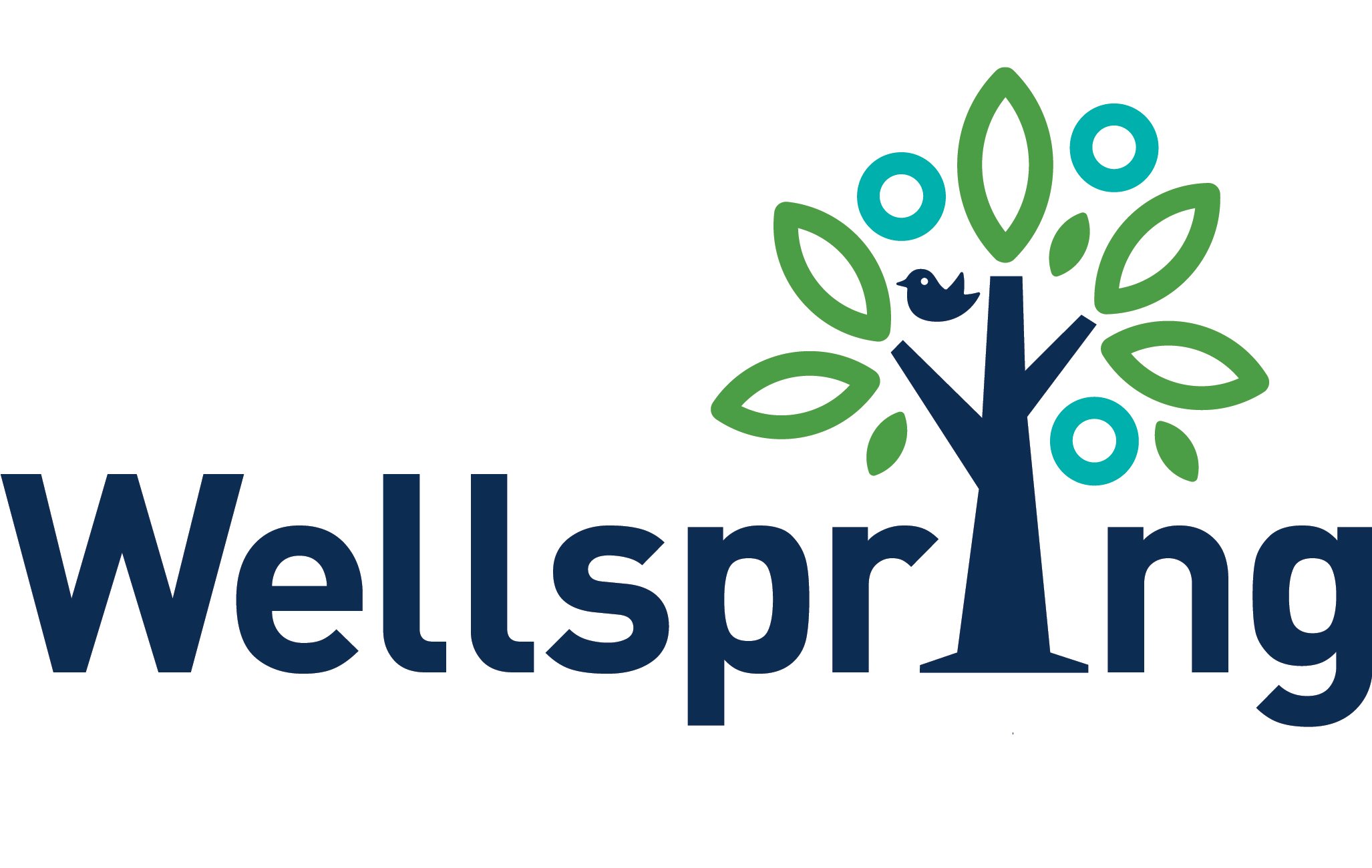 2020 No Endless Possibilities Tag Wellspring_Logo_Tag_Color_RGB 295 ...